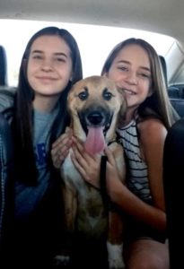 Apache Junction Police Department Animal Control Center – The Friends ...